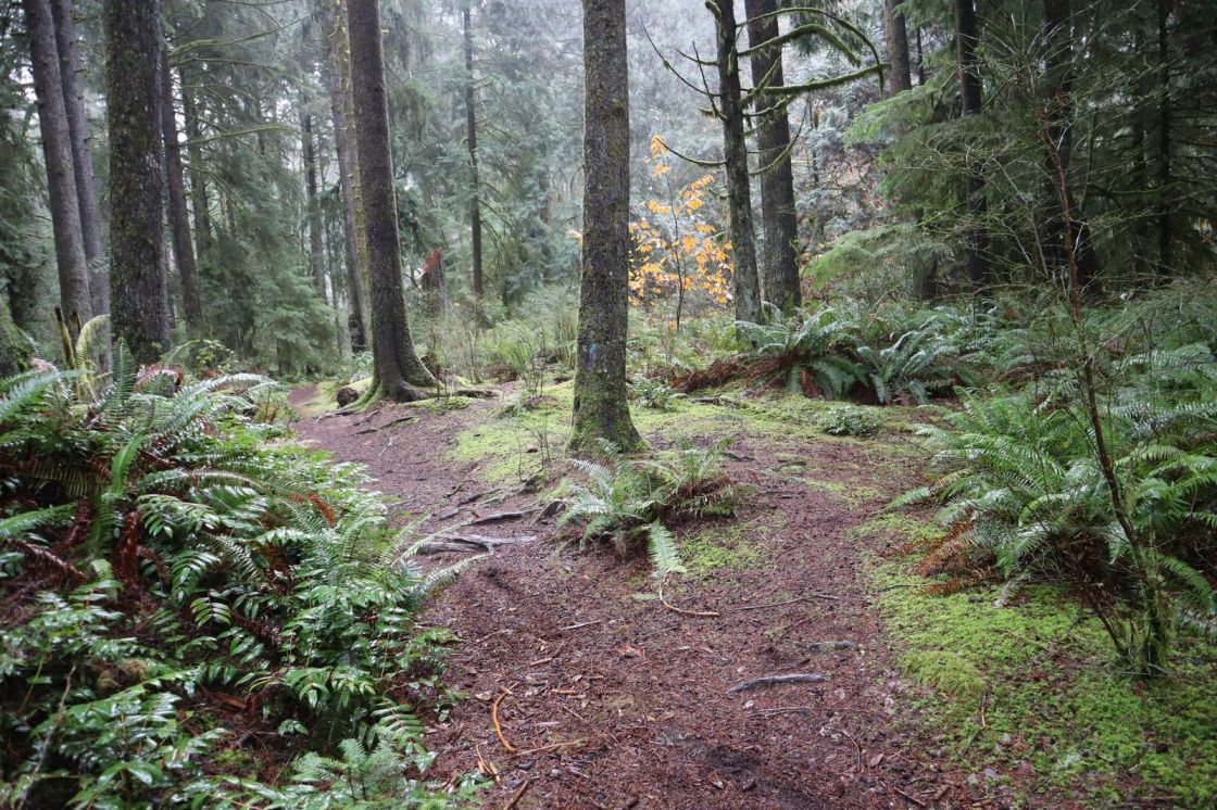 Nuu-chah-nulth Tribal Council, BC | PATHWAYS